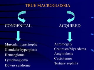 Role of tongue in maintaining occlision.ppt