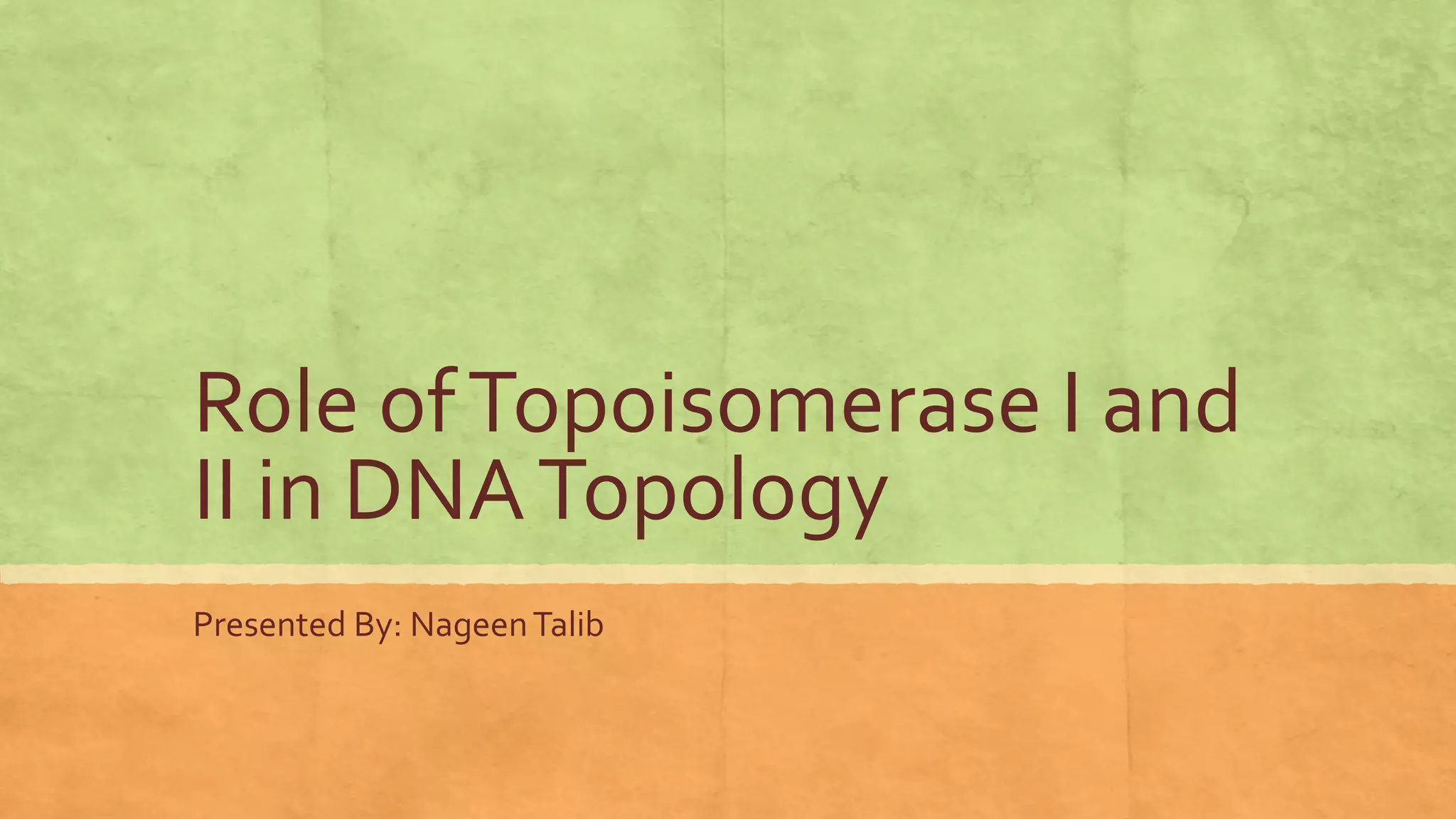 Role of Topoisomerase I and II in DNA Topology.pptx | Chemistry | Science