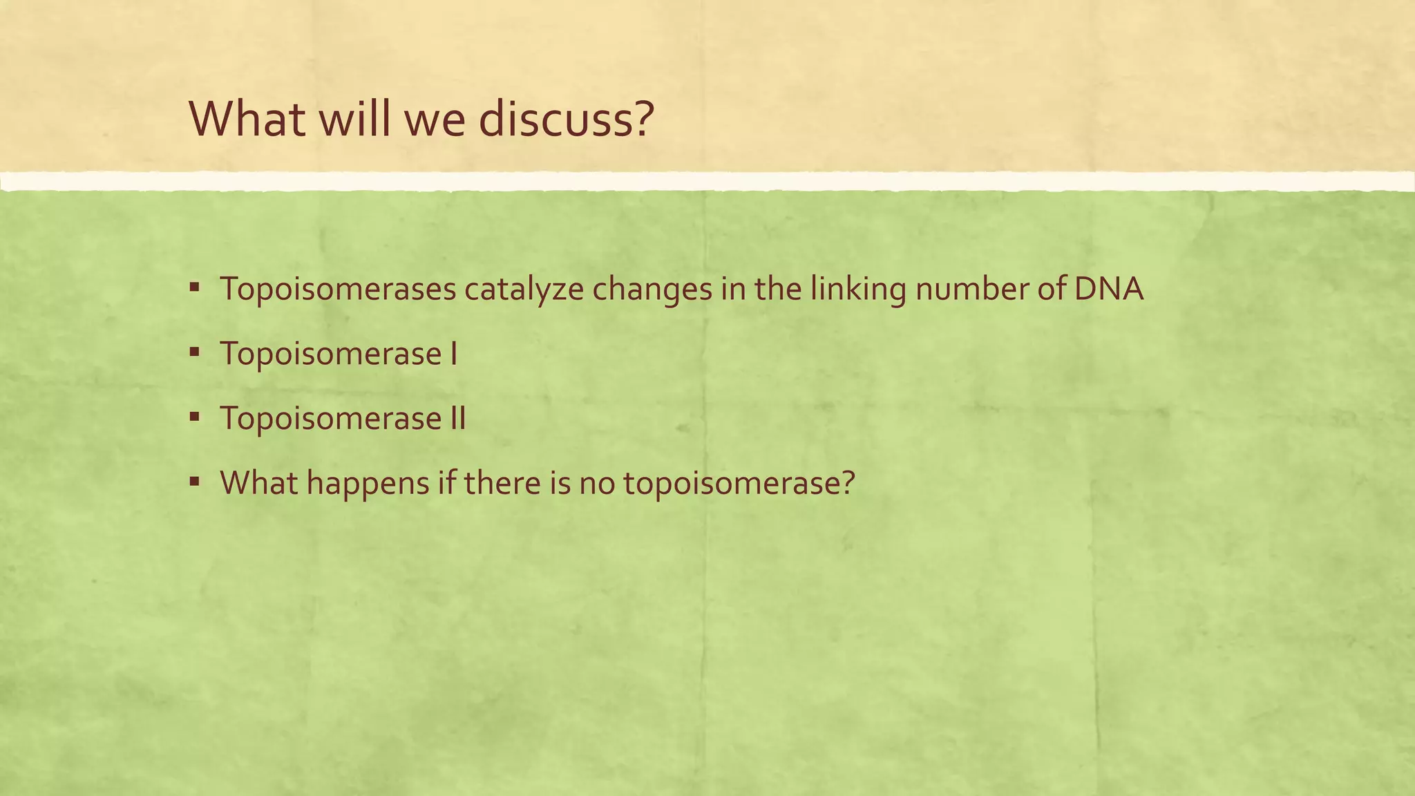 Role of Topoisomerase I and II in DNA Topology.pptx