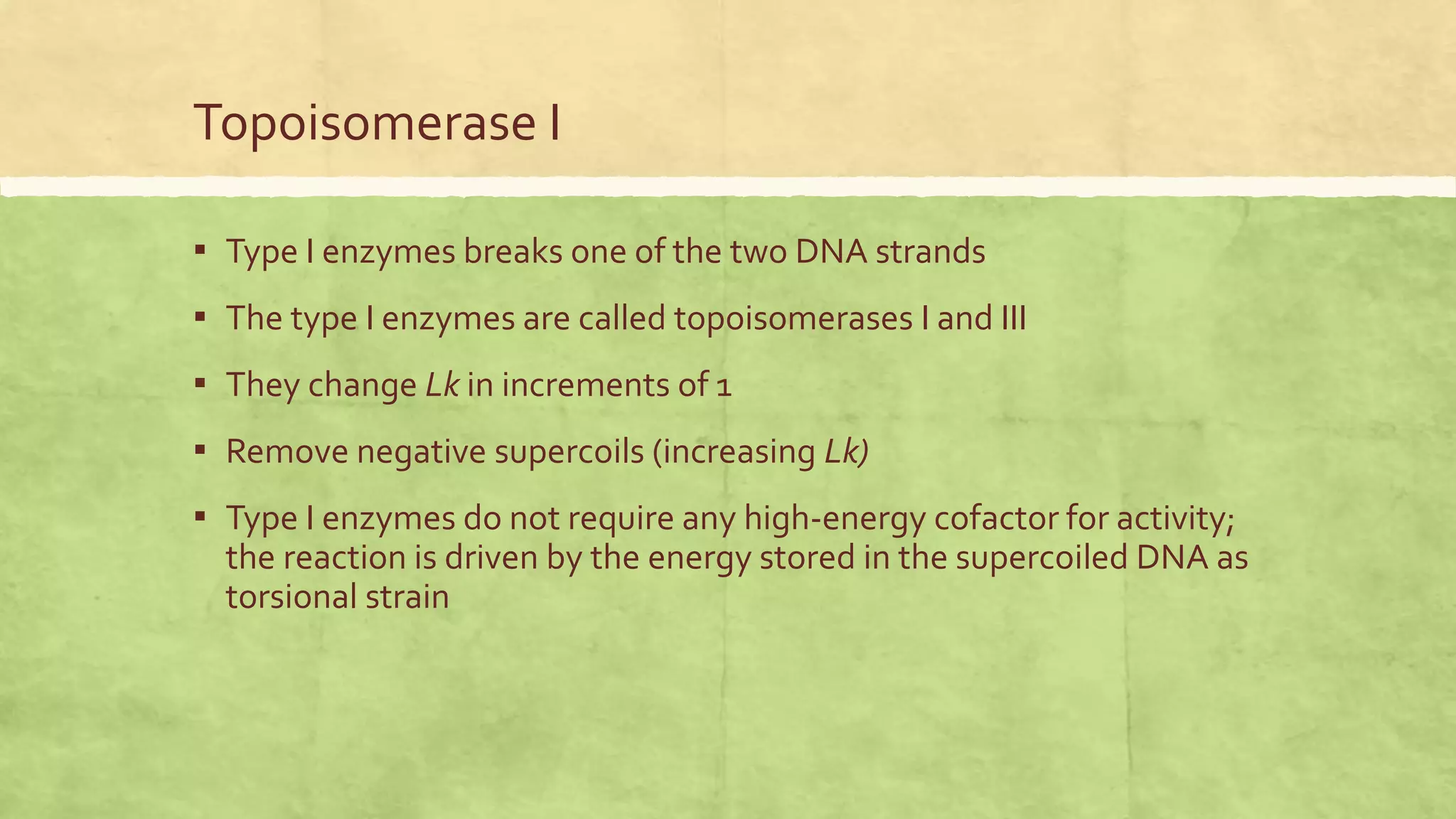 Role of Topoisomerase I and II in DNA Topology.pptx