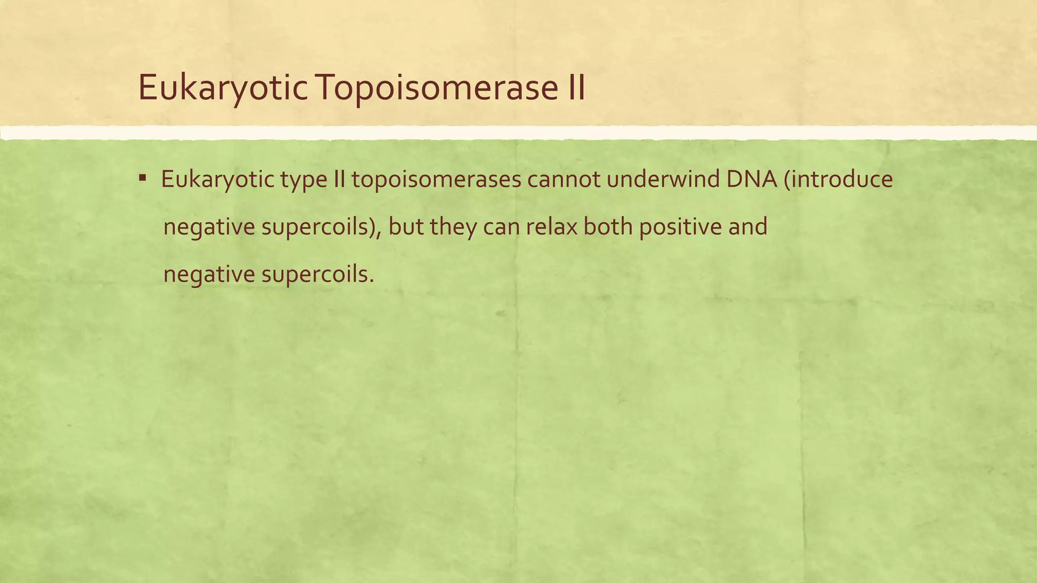 Role of Topoisomerase I and II in DNA Topology.pptx