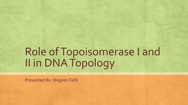 Role of Topoisomerase I and II in DNA Topology.pptx | Chemistry | Science