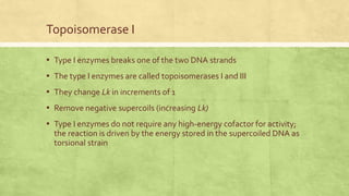 Role of Topoisomerase I and II in DNA Topology.pptx