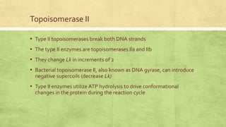 Role of Topoisomerase I and II in DNA Topology.pptx