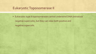 Role of Topoisomerase I and II in DNA Topology.pptx