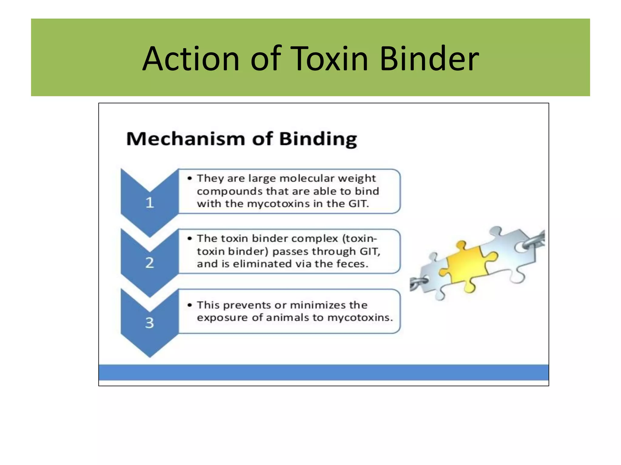 Role of toxin binder, acidifier and mold inhibitor in feed formulation ...