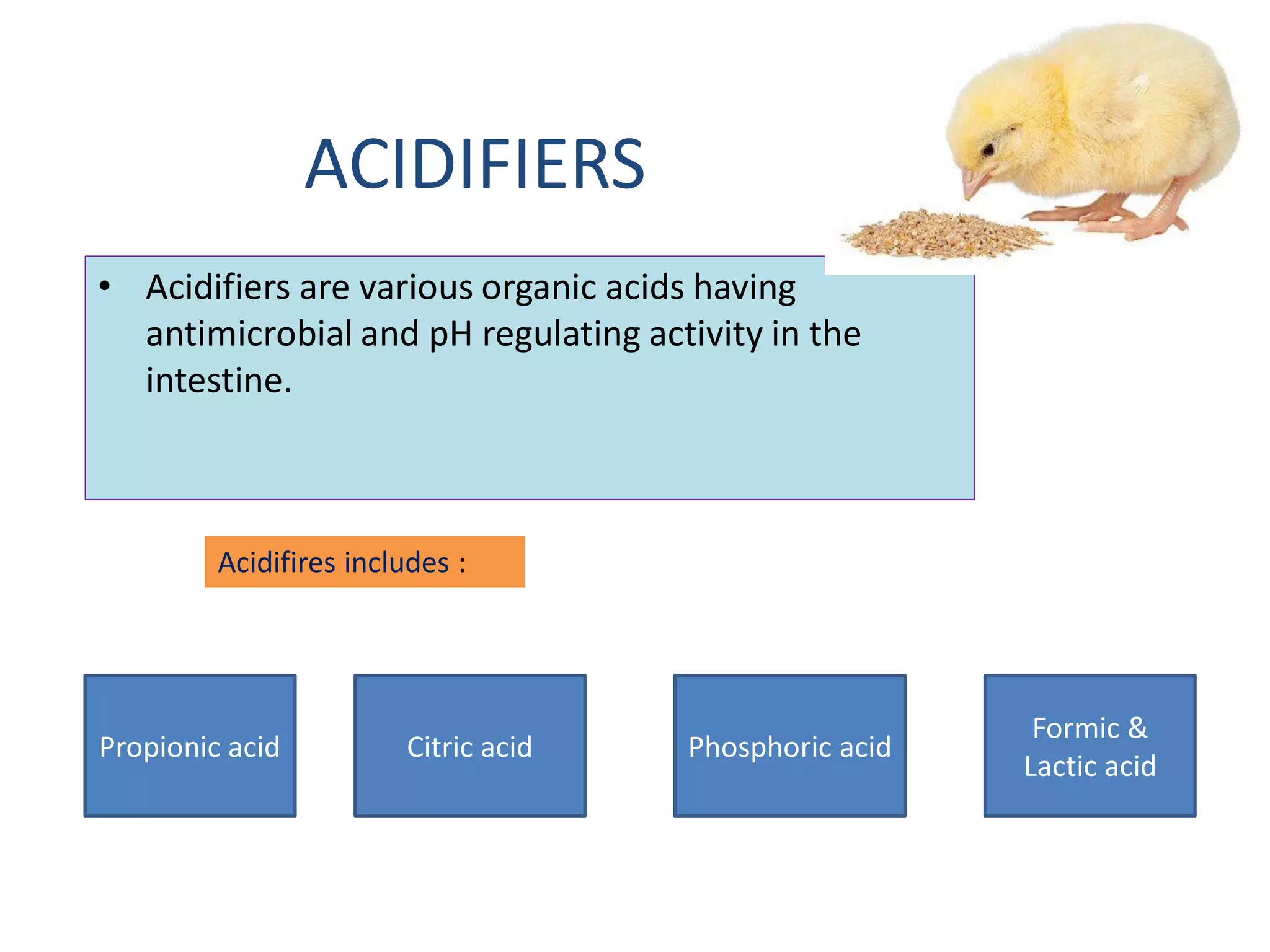 Role of toxin binder, acidifier and mold inhibitor in feed formulation ...