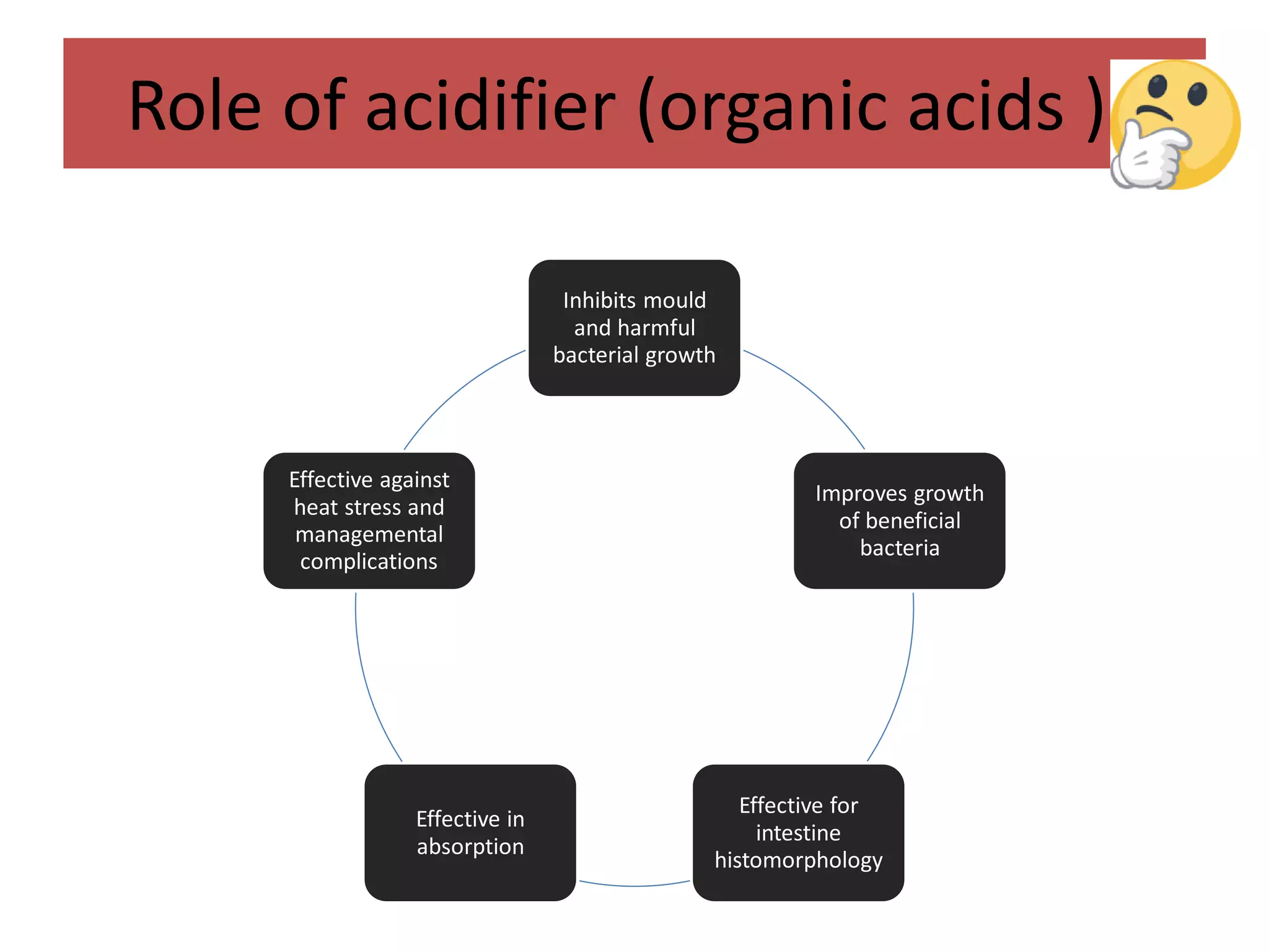 Role of toxin binder, acidifier and mold inhibitor in feed formulation ...