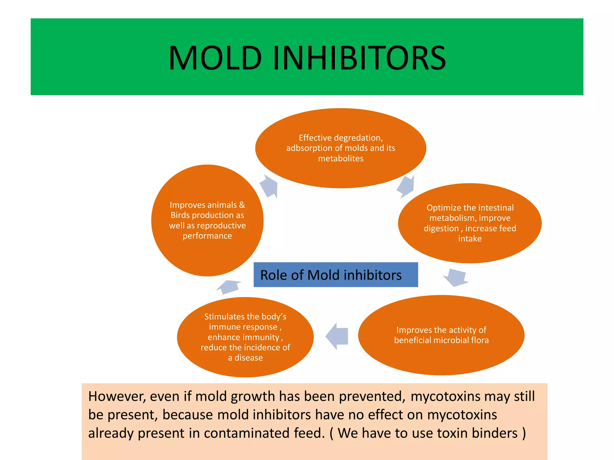 Role of toxin binder, acidifier and mold inhibitor in feed formulation ...