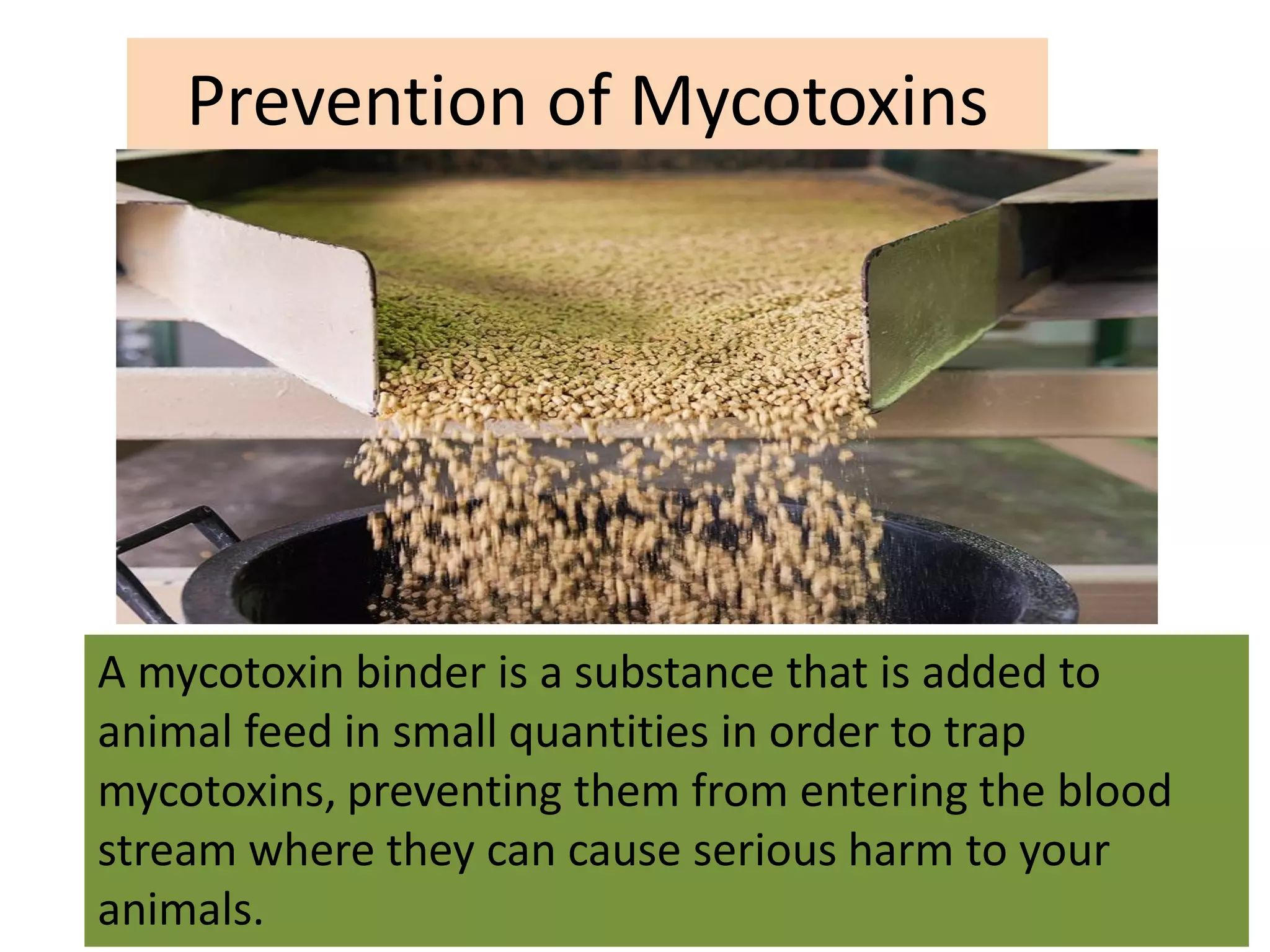 Role of toxin binder, acidifier and mold inhibitor in feed formulation ...