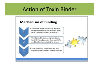 Role of toxin binder, acidifier and mold inhibitor in feed formulation ...