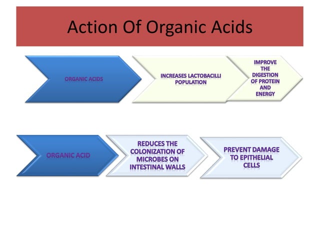 Role of toxin binder, acidifier and mold inhibitor in feed formulation ...