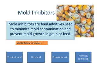 Role of toxin binder, acidifier and mold inhibitor in feed formulation ...