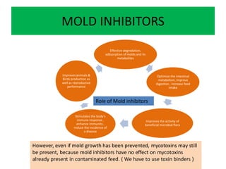 Role of toxin binder, acidifier and mold inhibitor in feed formulation ...