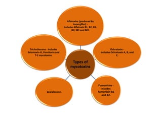 Role of toxin binder, acidifier and mold inhibitor in feed formulation ...