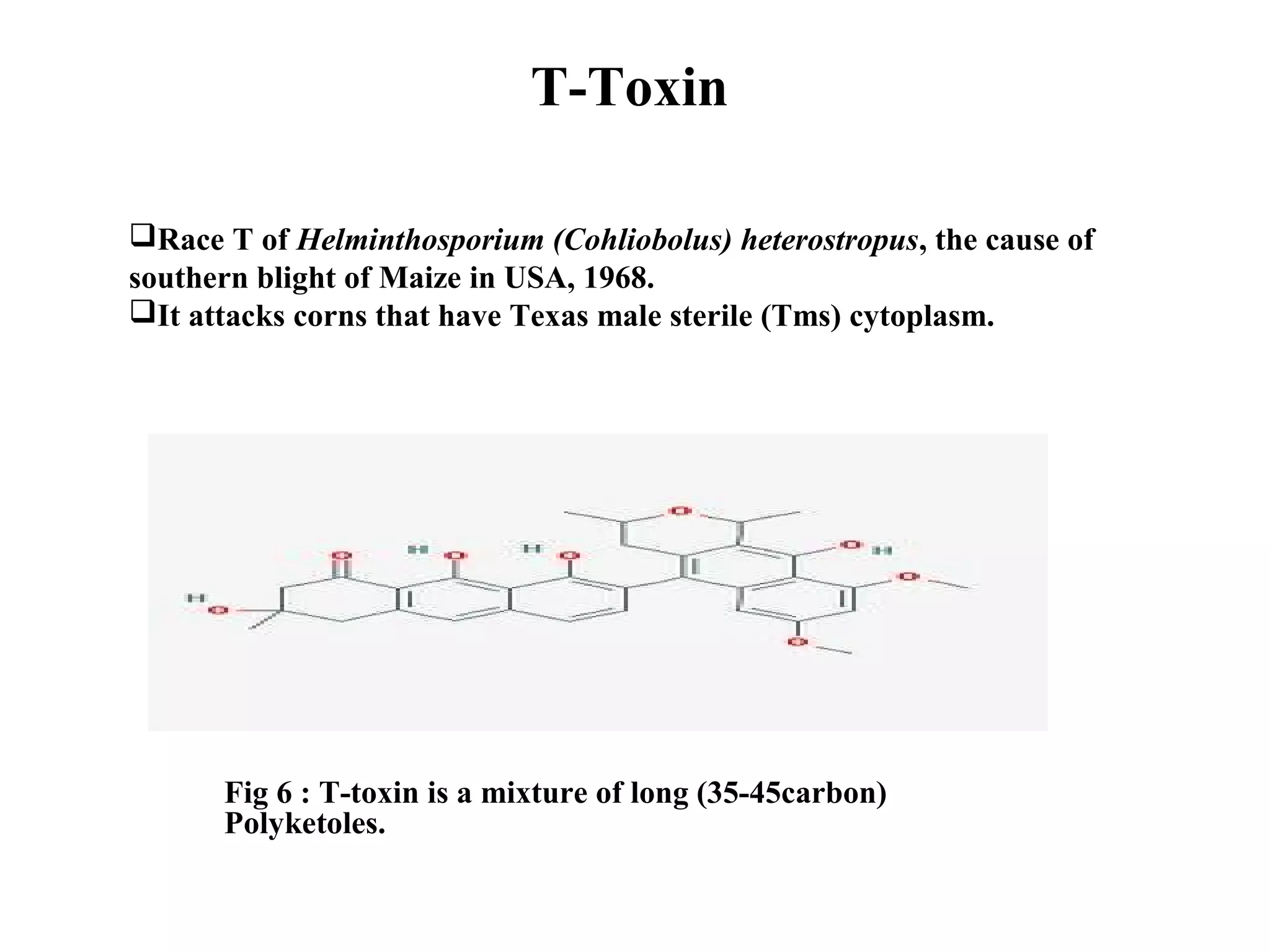 Role of toxins in plant pathogensis | PPT