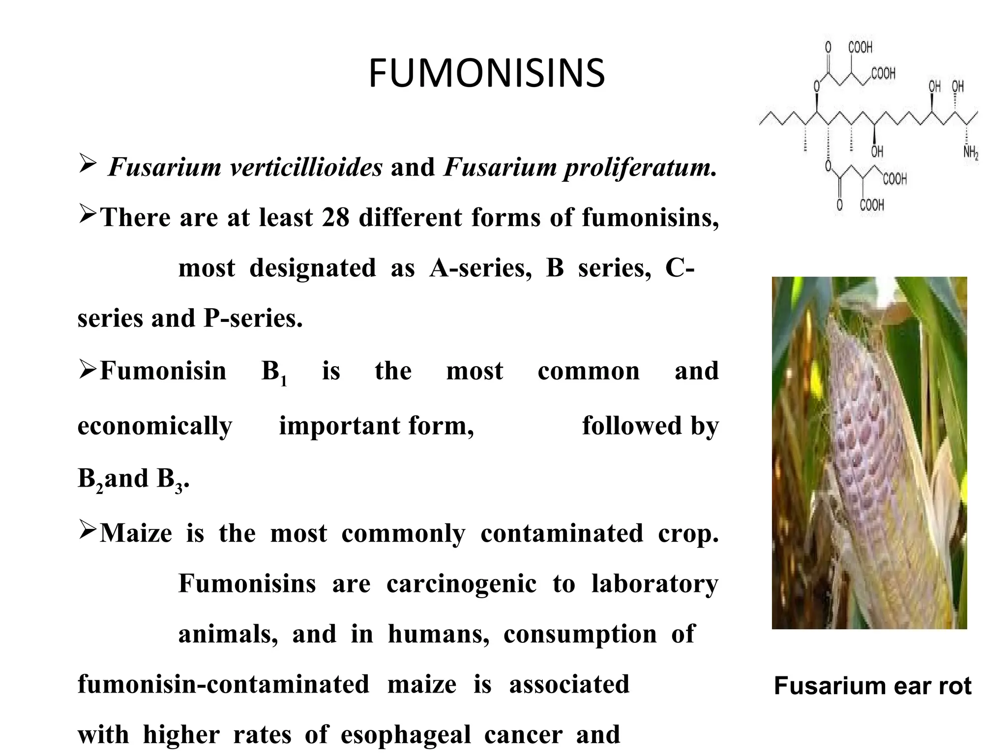Role of toxins in plant pathogensis | PPT
