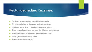 Role of toxins and Enzymes in Pathogensis.pptx