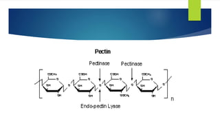 Role of toxins and Enzymes in Pathogensis.pptx