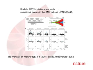Role of tp53 mutations in therapy related acute myeloid leukaemia(t-aml ...