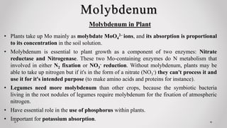 Role of trace elements in Plant and Soil | PPTX