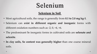 Role of trace elements in Plant and Soil | PPTX