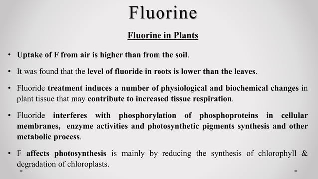 Role of trace elements in Plant and Soil | PPTX | Science