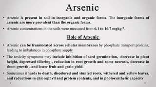 Role of trace elements in Plant and Soil | PPTX