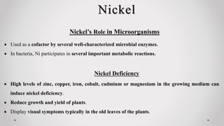 Role of trace elements in Plant and Soil | PPTX