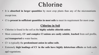 Role of trace elements in Plant and Soil | PPTX