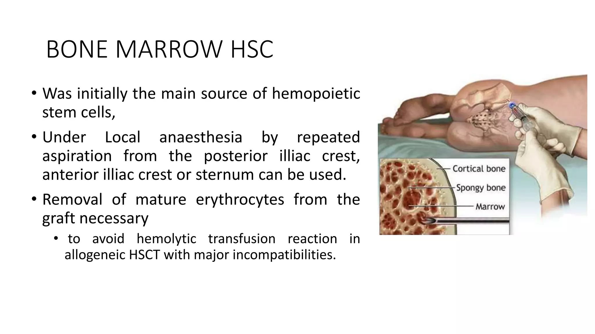 Role of transfusion medicine in hematopoietic stem cell | PPTX