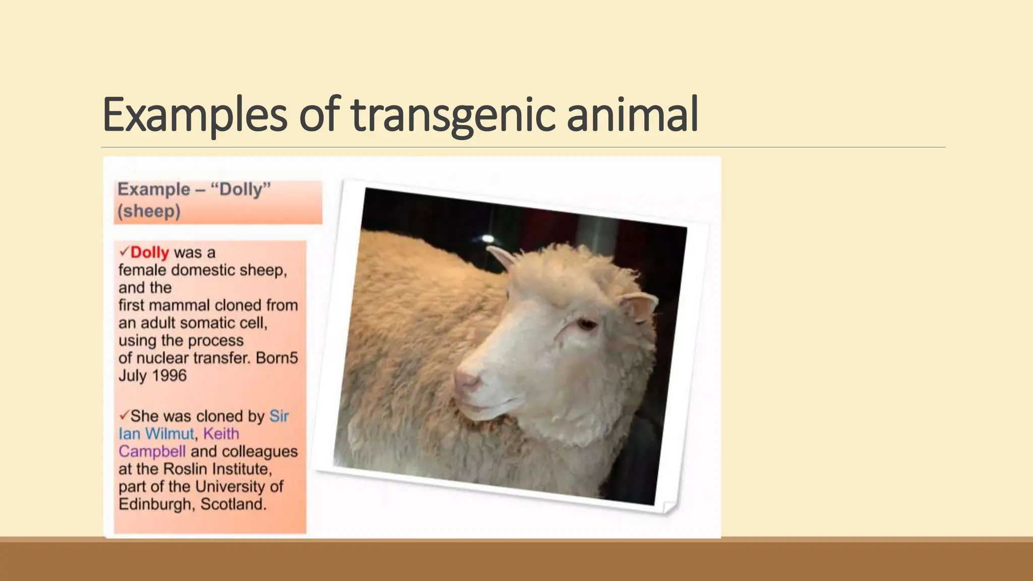 Role Of Transgenic Animal In Target Validation-1.pptx