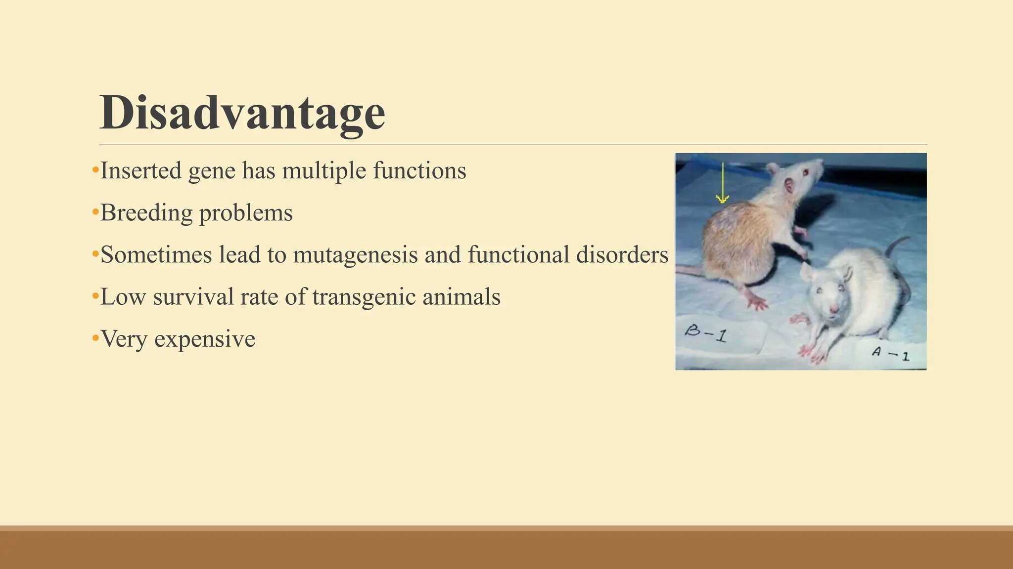 Role Of Transgenic Animal In Target Validation-1.pptx