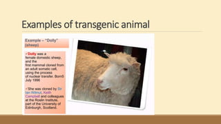 Role Of Transgenic Animal In Target Validation-1.pptx