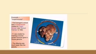 Role Of Transgenic Animal In Target Validation-1.pptx