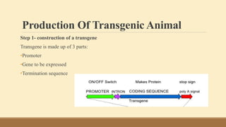 Role Of Transgenic Animal In Target Validation-1.pptx