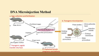 Role Of Transgenic Animal In Target Validation-1.pptx