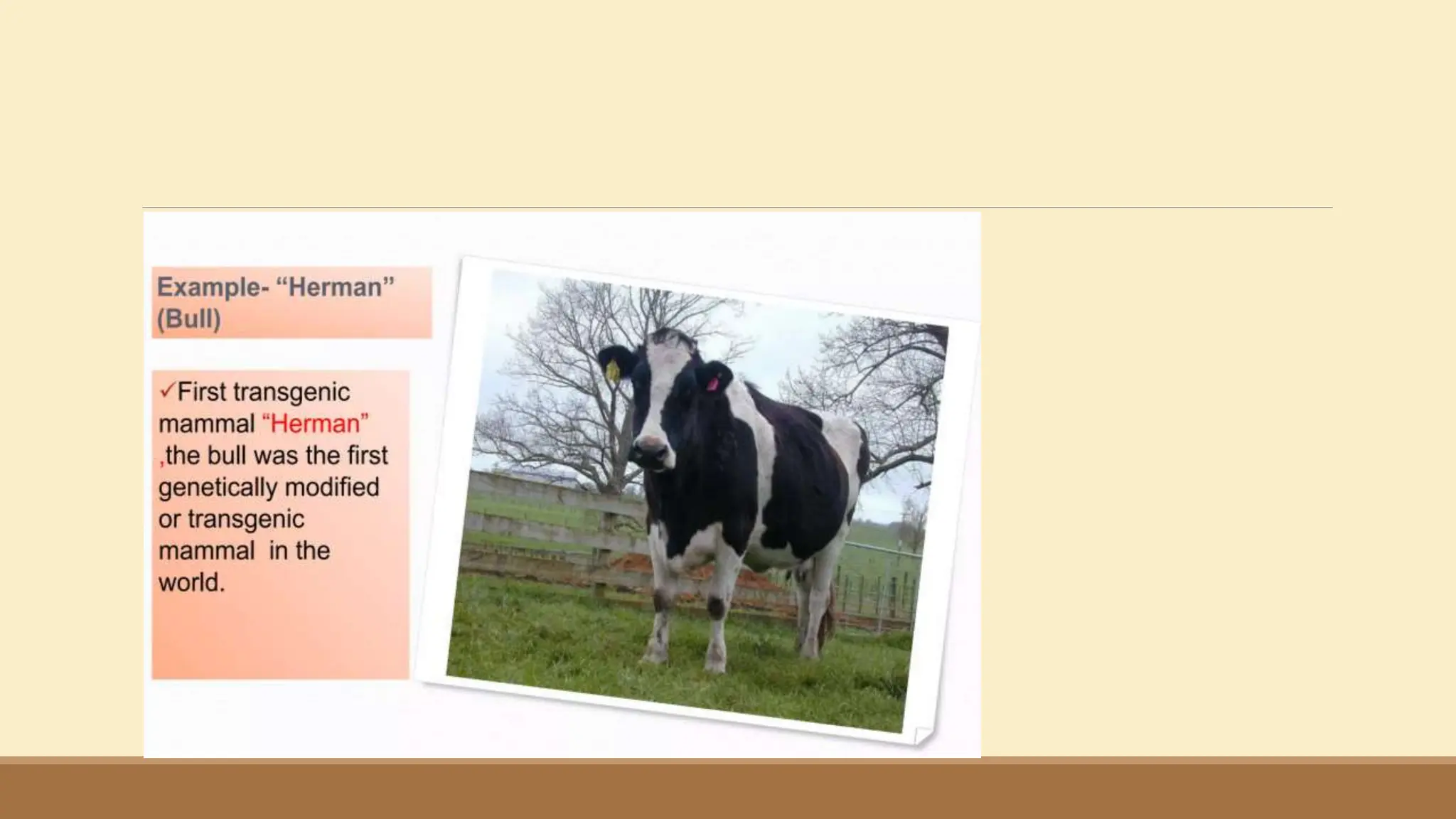 Role Of Transgenic Animal In Target Validation-1.pptx