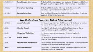 (ROLE OF TRIBAL REBELLION IN FREEDOM.pptx