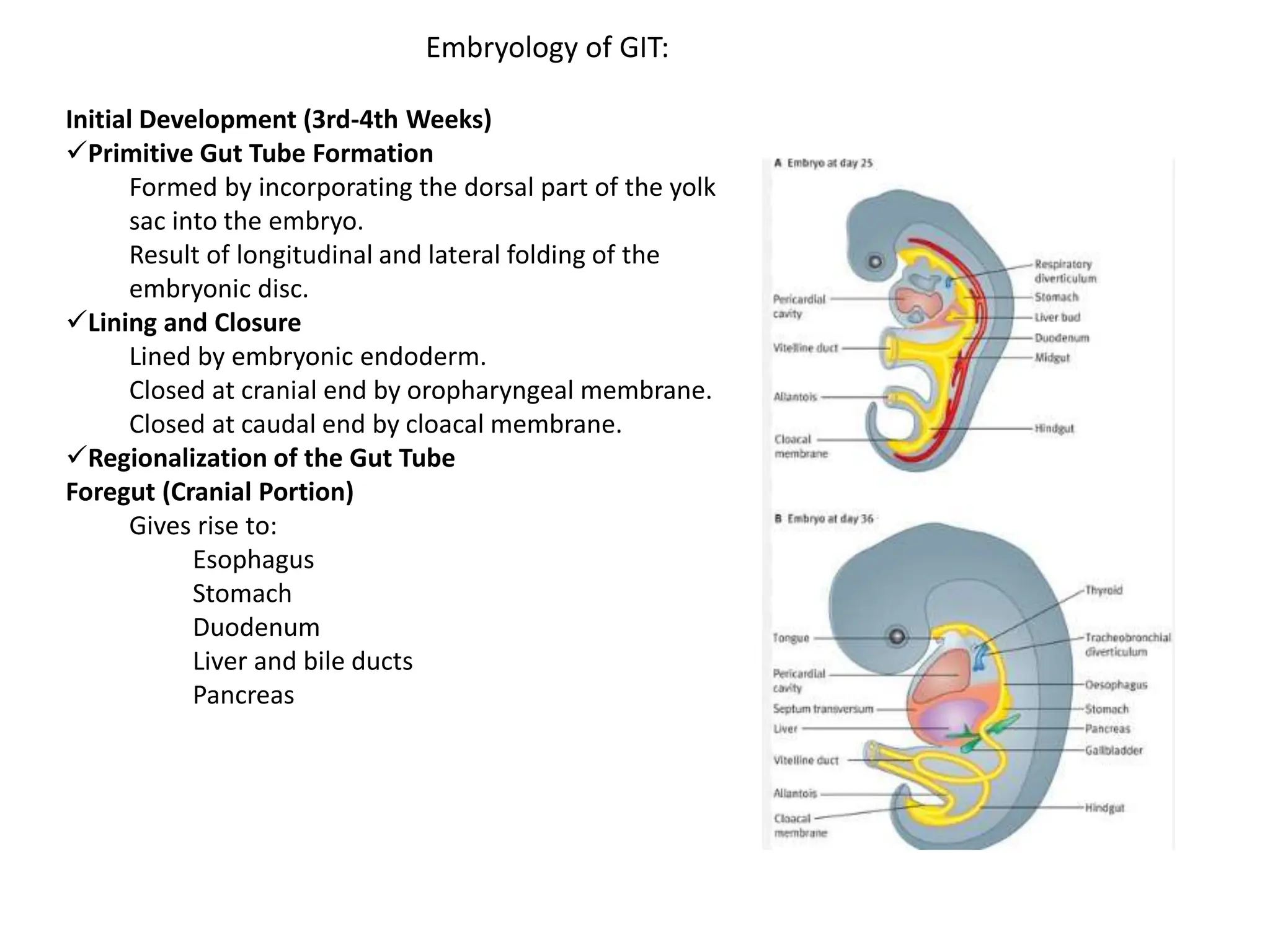 ROLE OF ULTRASOUND IN ASSESSING FETAL GIT- final (1).pptx