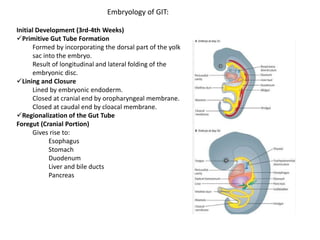 ROLE OF ULTRASOUND IN ASSESSING FETAL GIT- final (1).pptx