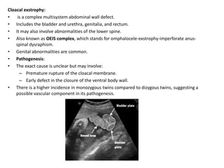 ROLE OF ULTRASOUND IN ASSESSING FETAL GIT- final (1).pptx