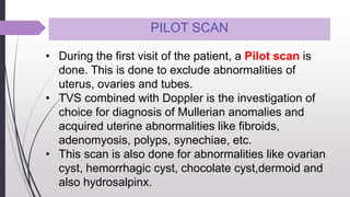 Role of ultrasound in the Infertility management | PPTX