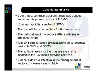 Role of vectors and their host plants in the epidemiology of maize ...