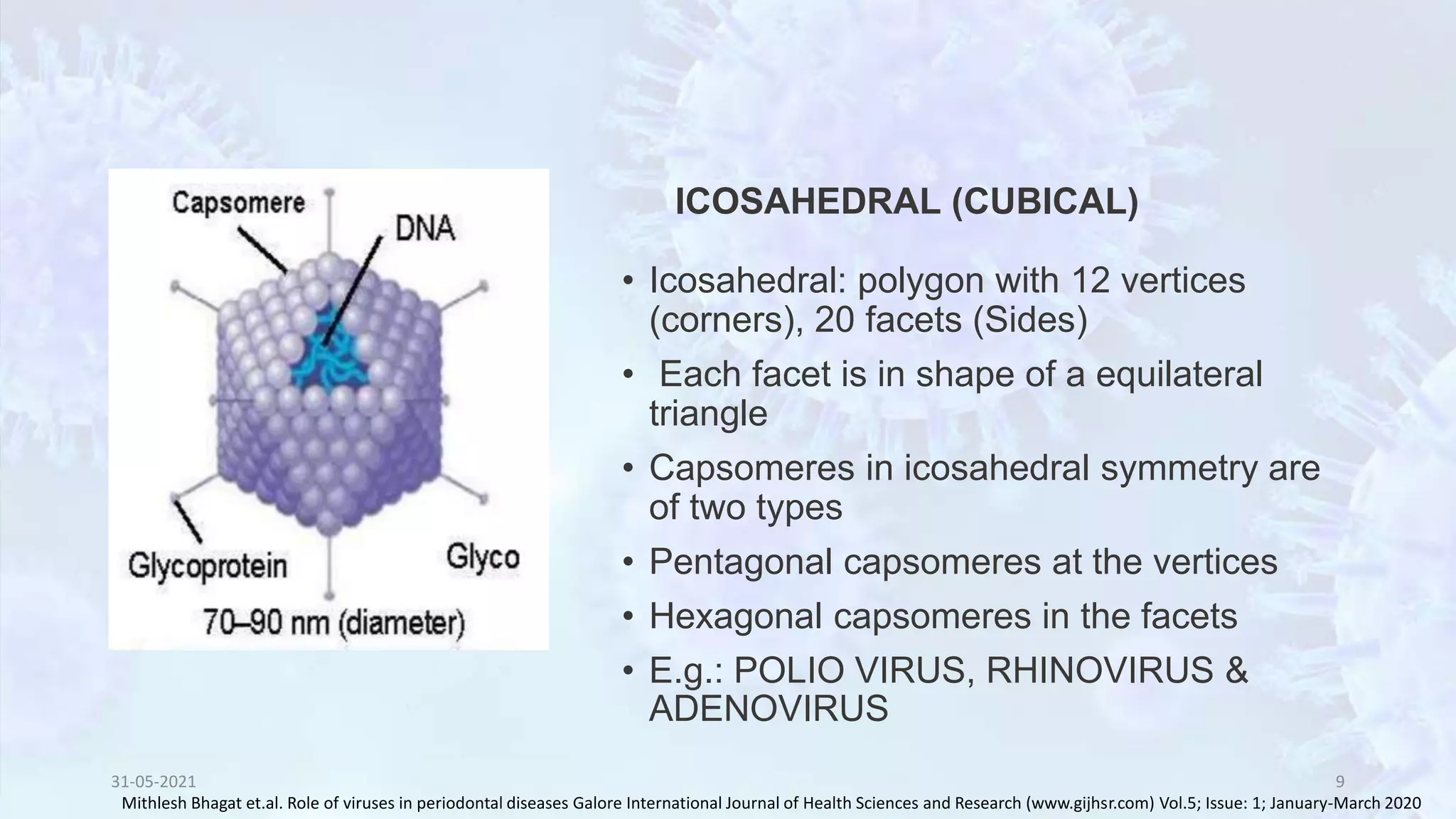 Role of virus in periodontal diseases | PPTX