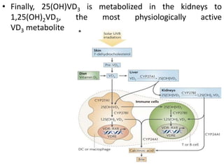 Role of vitamin in immunomodulators | PPTX