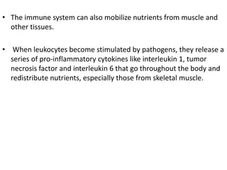 Role of vitamin in immunomodulators | PPTX
