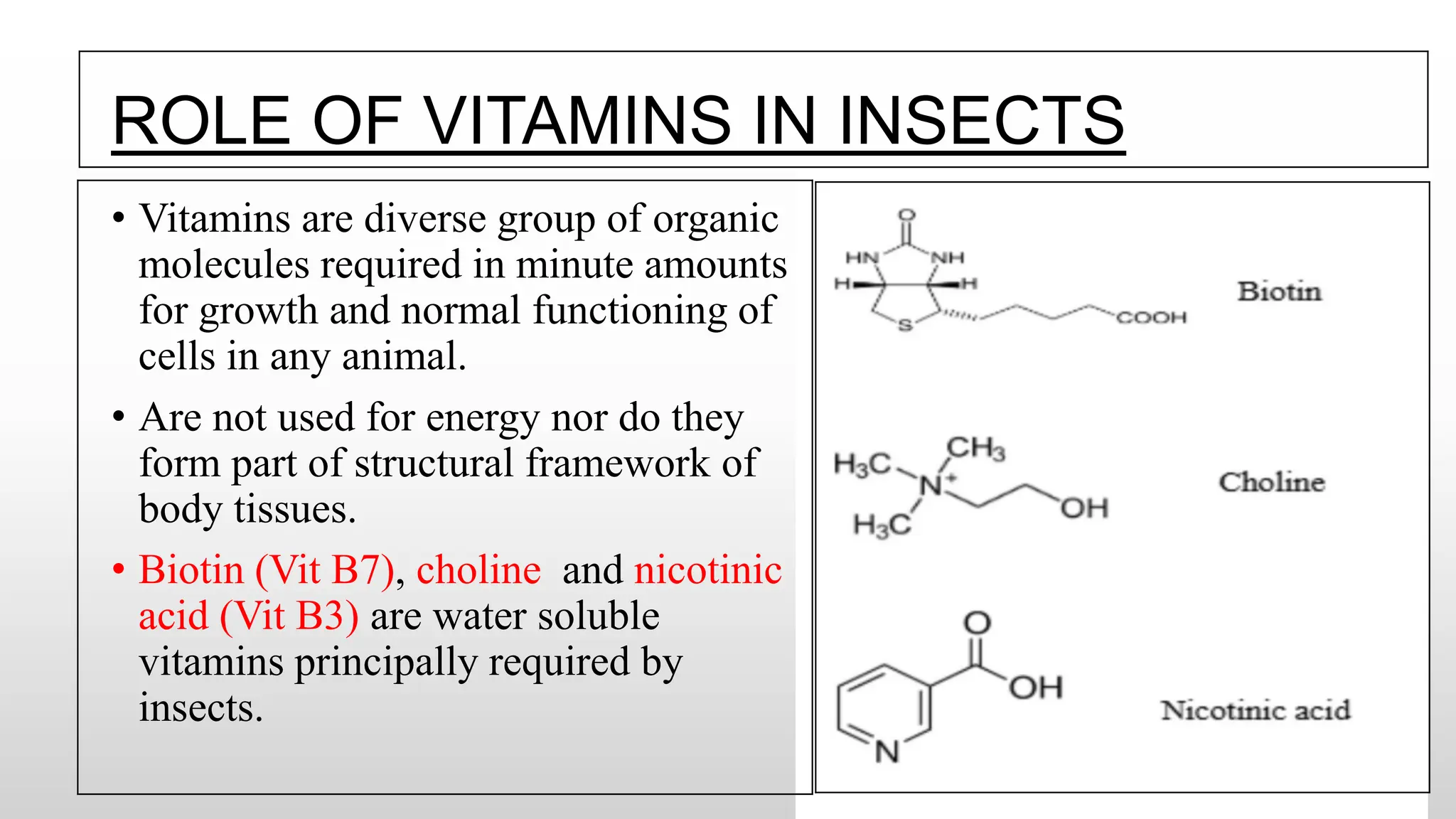 ROLE OF VITAMINS (ENT502) - Anatomy & Physiology | PDF