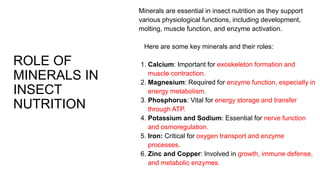 ROLE OF VITAMINS (ENT502) - Anatomy & Physiology | PPT