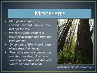 Role of water in Distribution of plants | PPTX